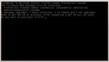 Curso gratuito Linux – Consultas a MsSQL desde Linux – El Camino del ...