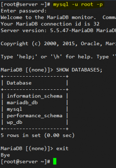 MySQL o MariaDB: Configuración esencial de seguridad – El Camino del ...