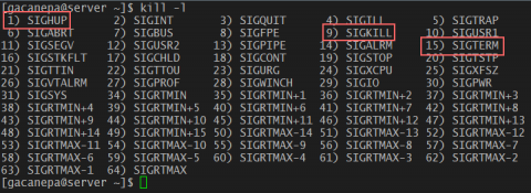 El comando kill: enviar señales a procesos – El Camino del Sysadmin